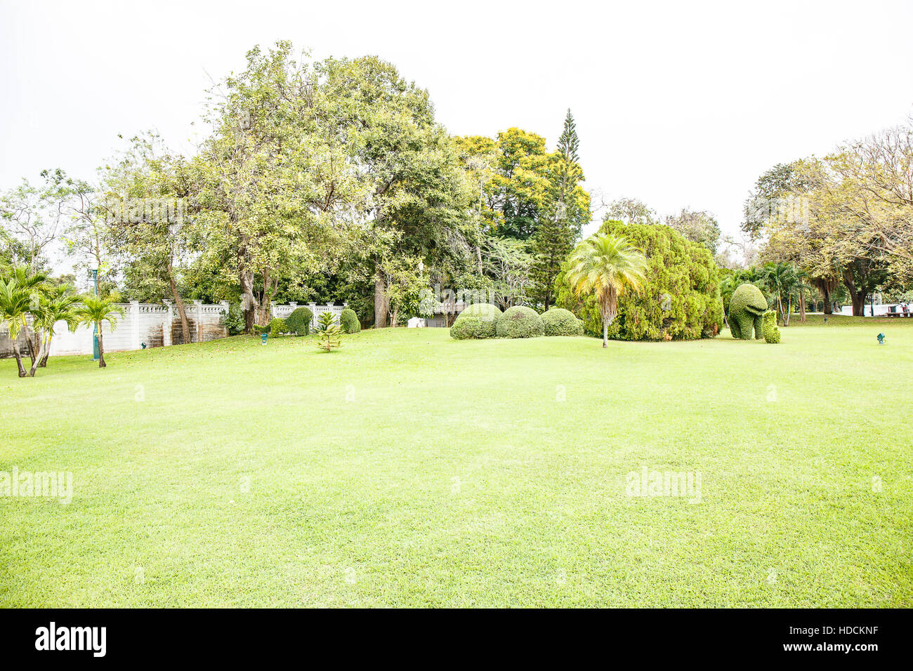 Lawn with blue sky Stock Photo - Alamy