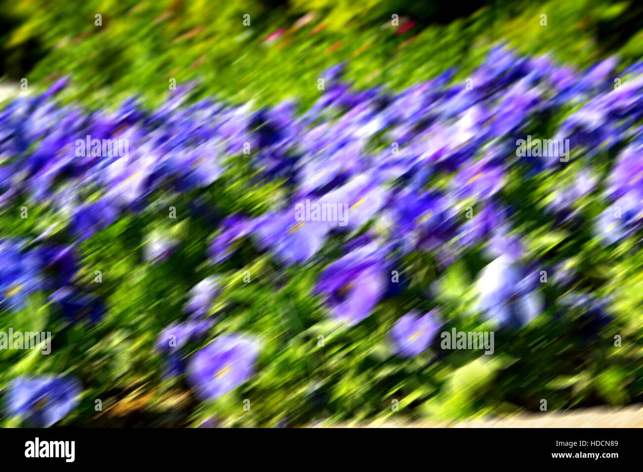 blur in the spring colors flowers and garden Stock Photo - Alamy