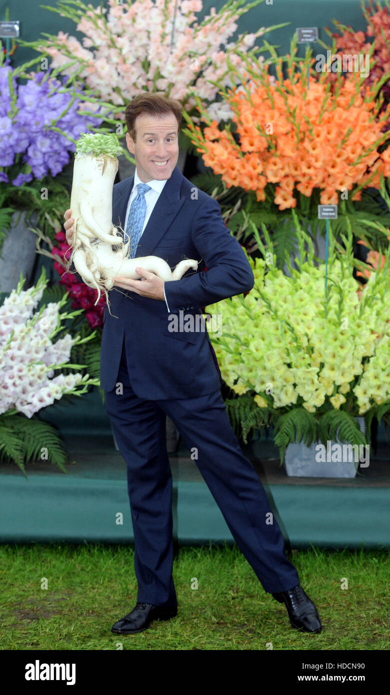 Radishing hi-res stock photography and images - Alamy