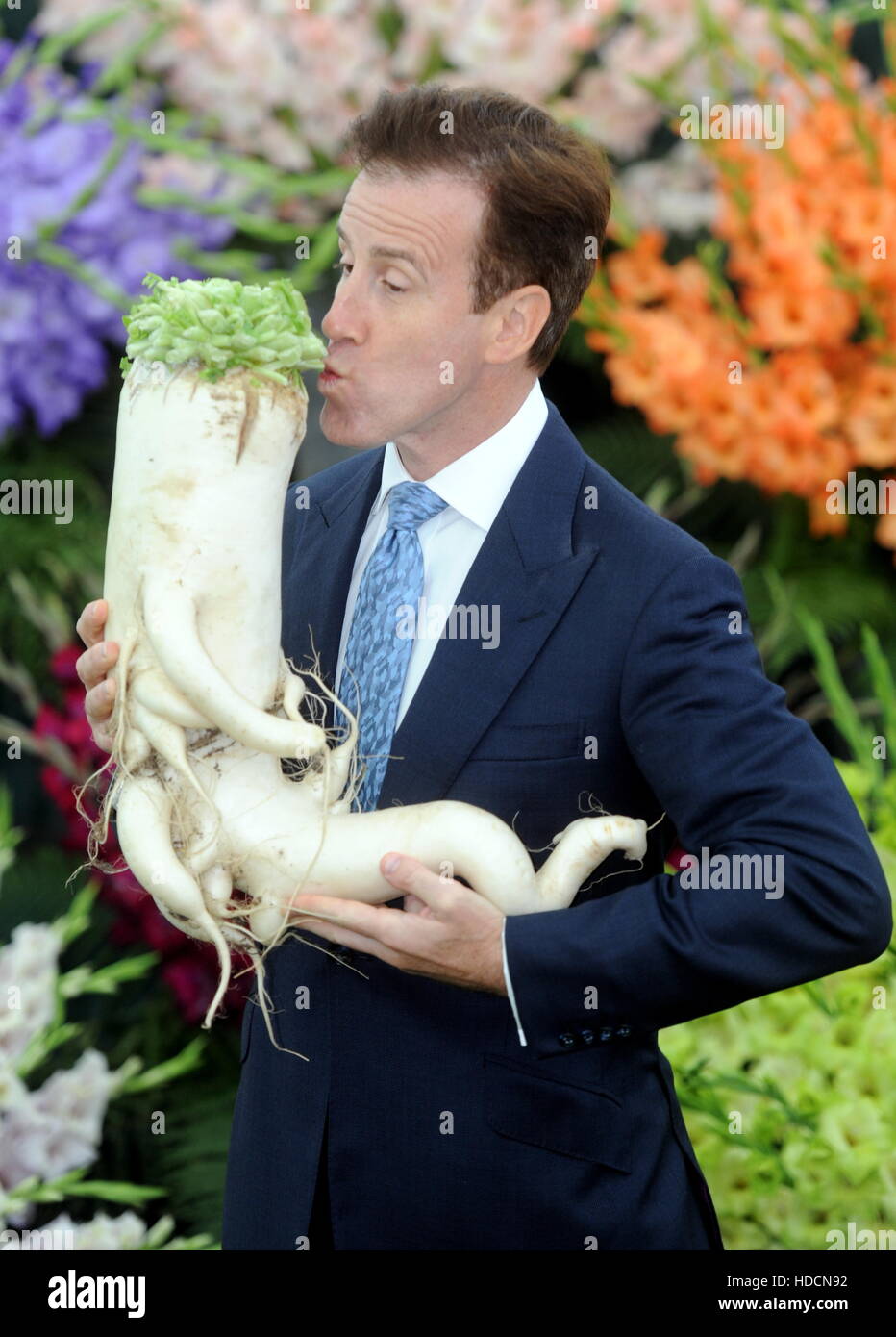 Giant radish hi-res stock photography and images - Alamy