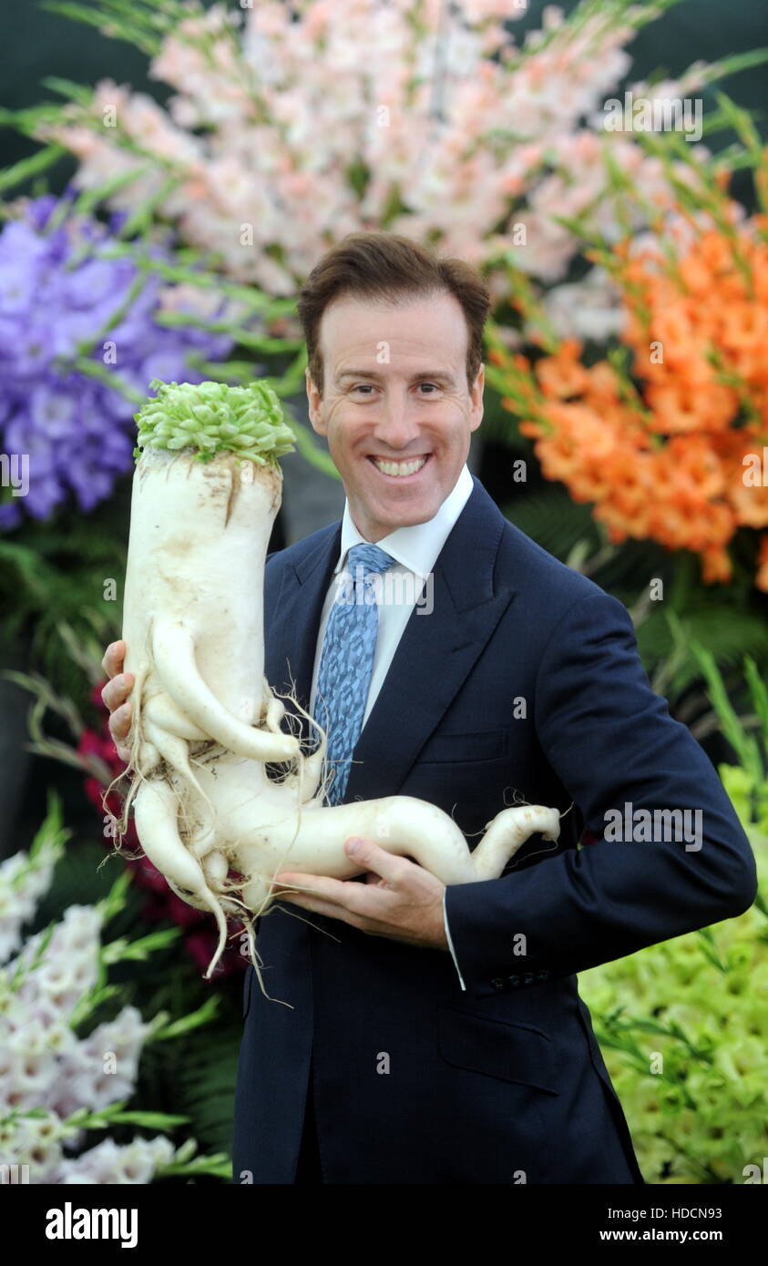 Radishing hi-res stock photography and images - Alamy