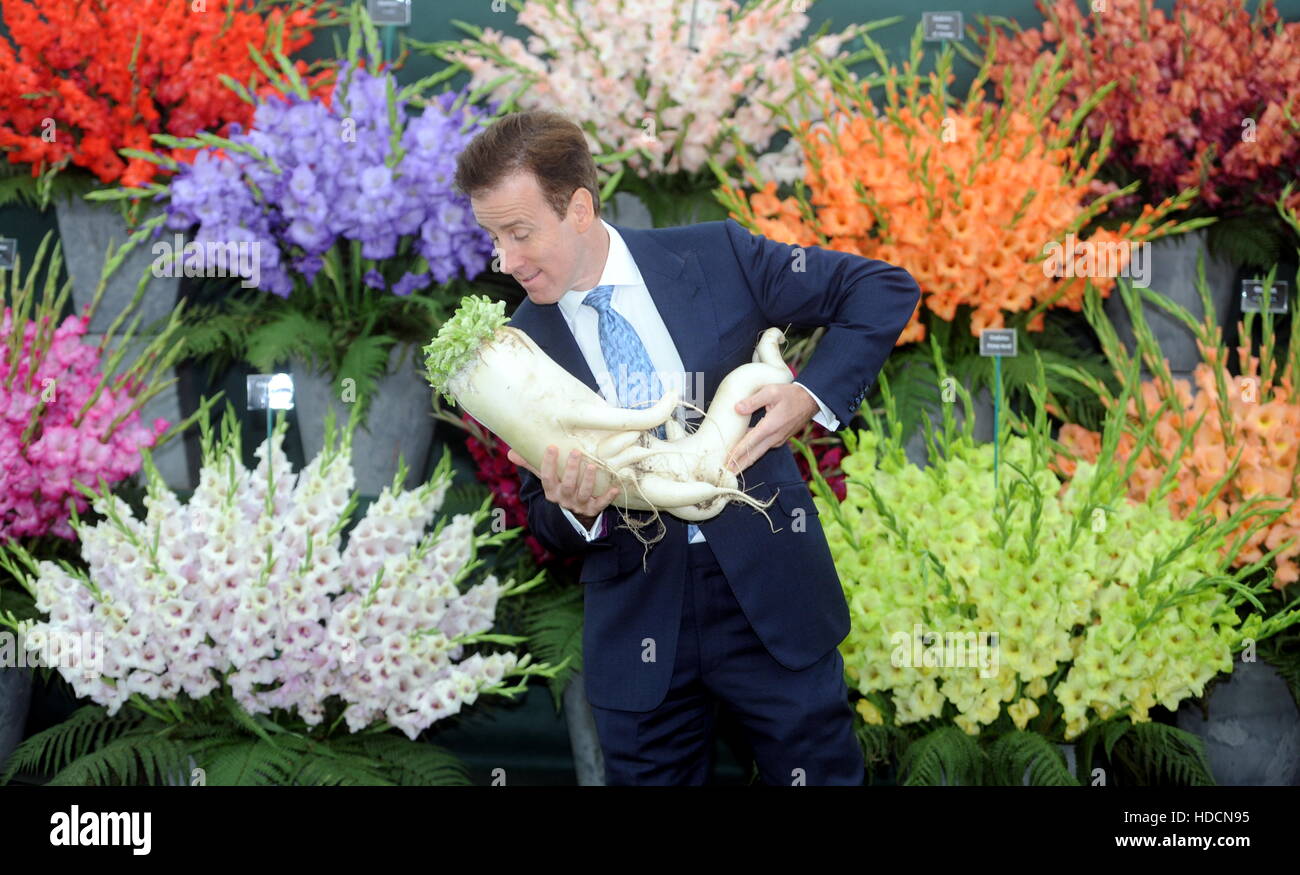 Radishing hi-res stock photography and images - Alamy