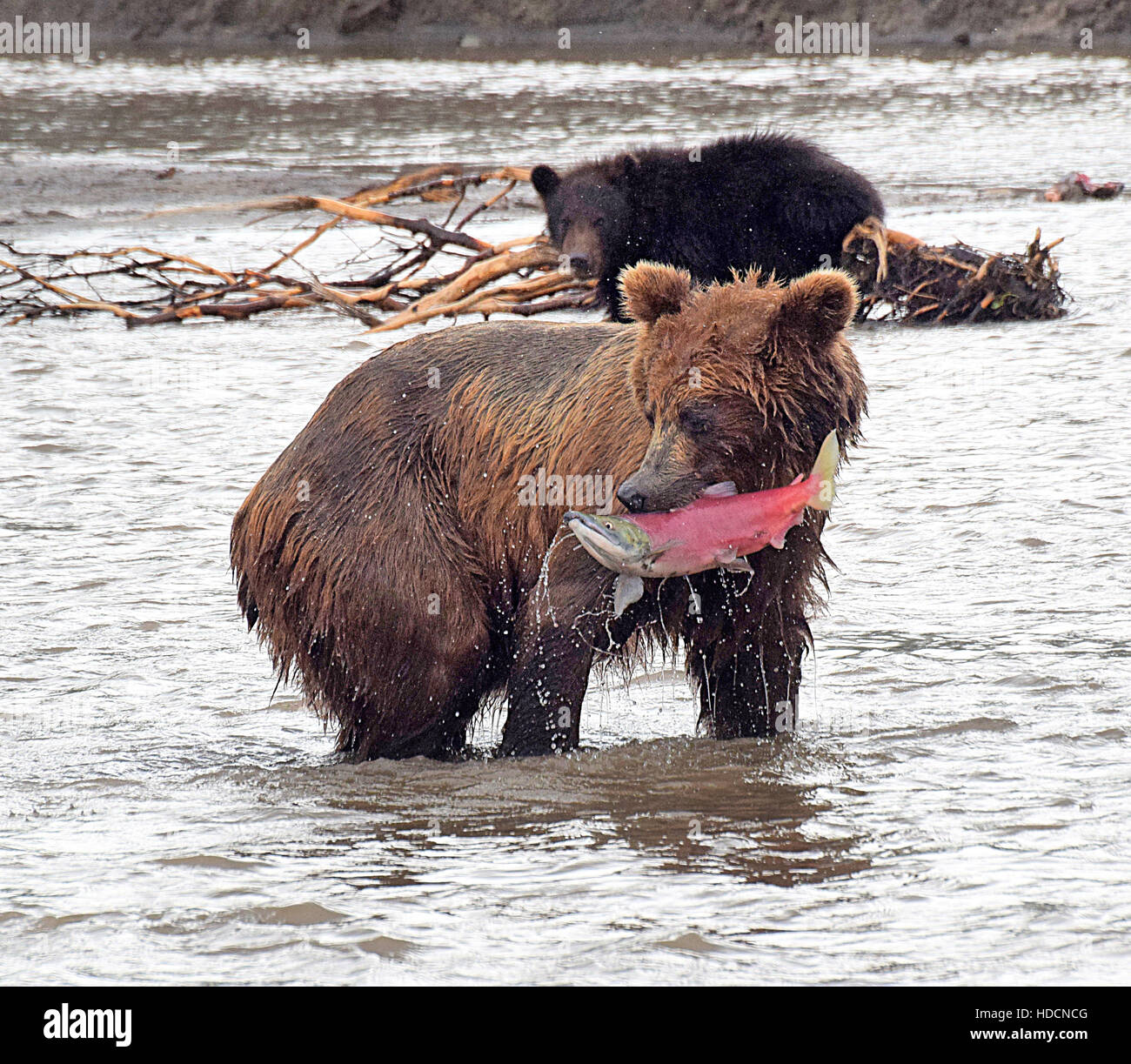 Koryakski hi-res stock photography and images - Alamy