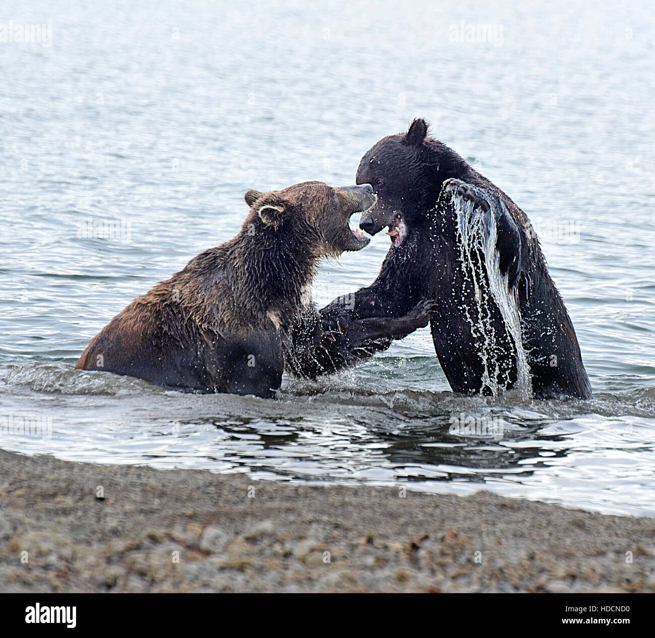 Koryakski hi-res stock photography and images - Alamy