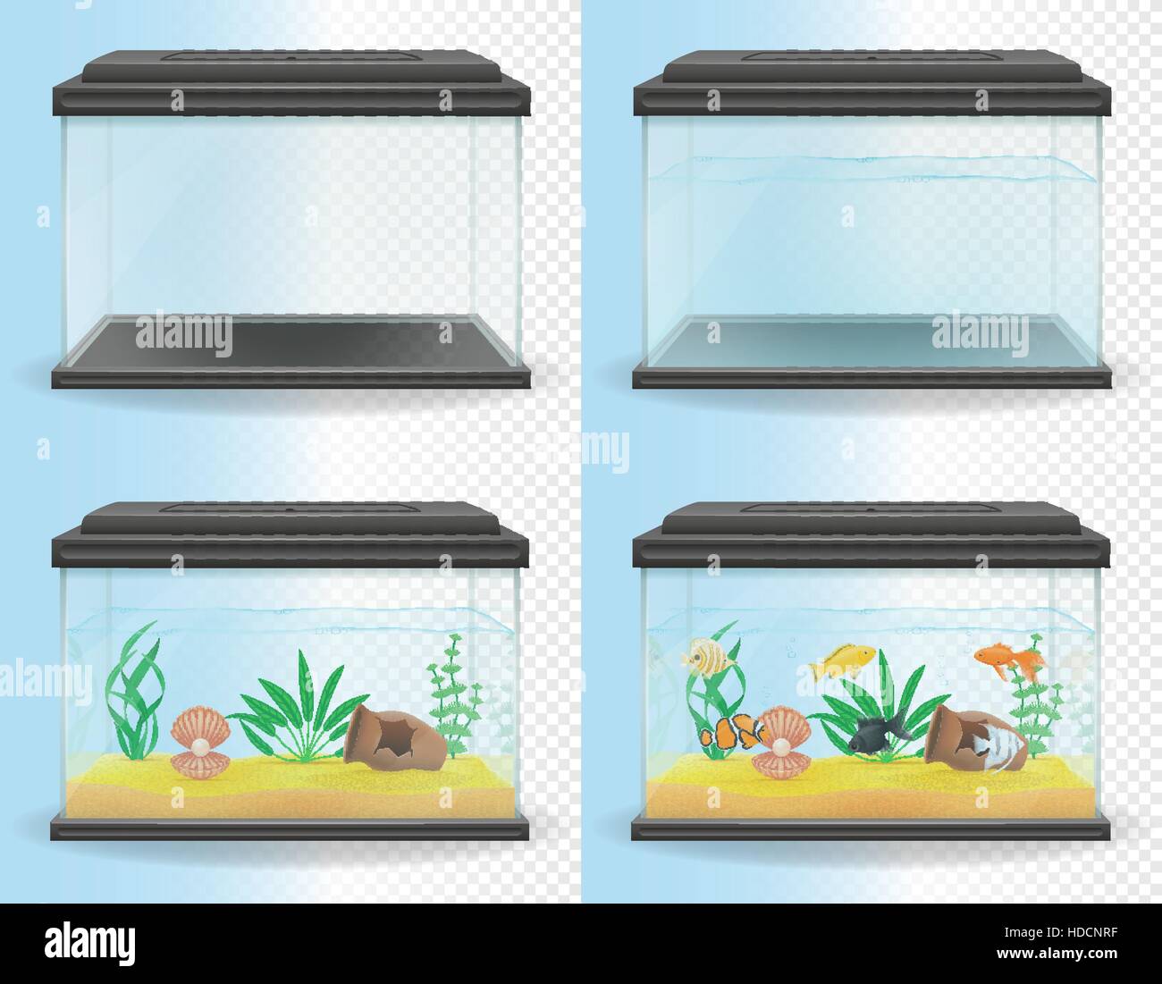 transparent aquarium vector illustration isolated on white background ...