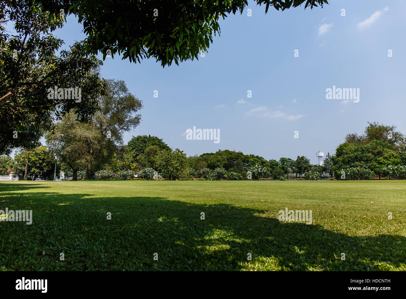 Lawn with blue sky Stock Photo - Alamy