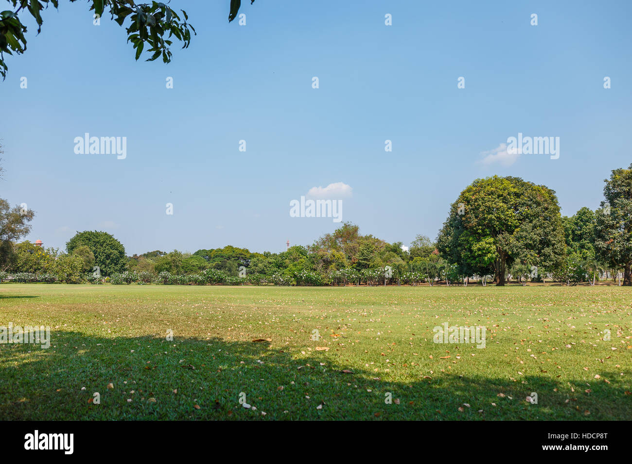 Lawn with blue sky Stock Photo - Alamy