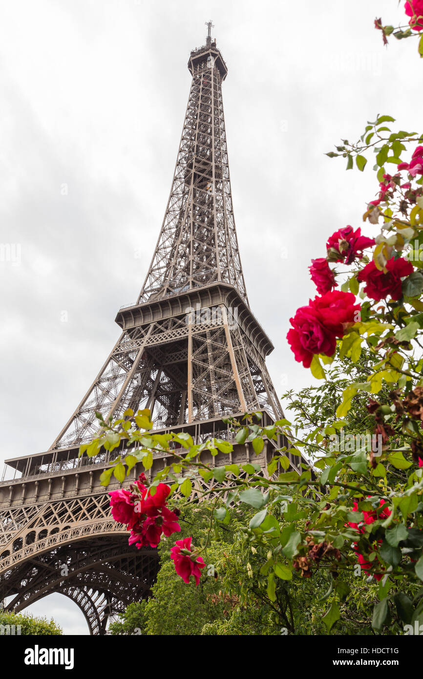 A view of the Eiffel Tower during the day in the summer Stock Photo - Alamy