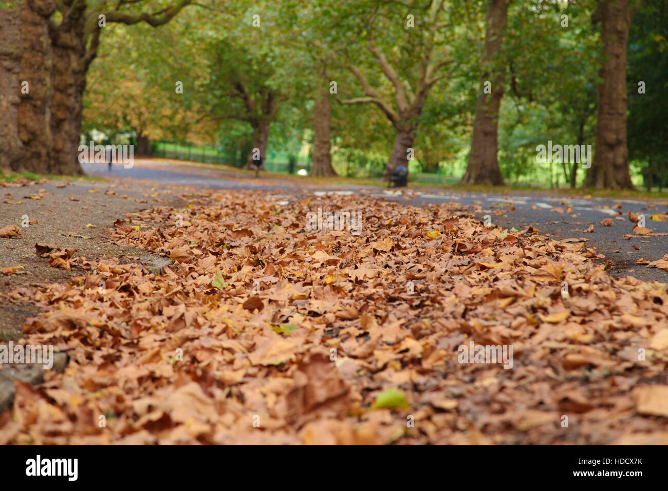 People enjoy a sunny autumn morning in a North London park. Featuring ...