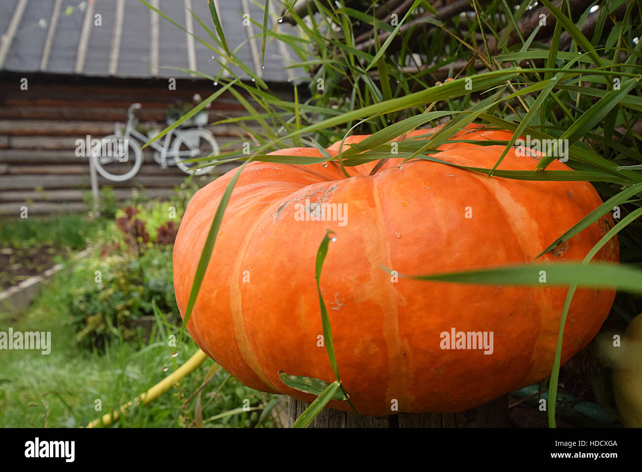 kamchatka peninsula russia Stock Photo - Alamy