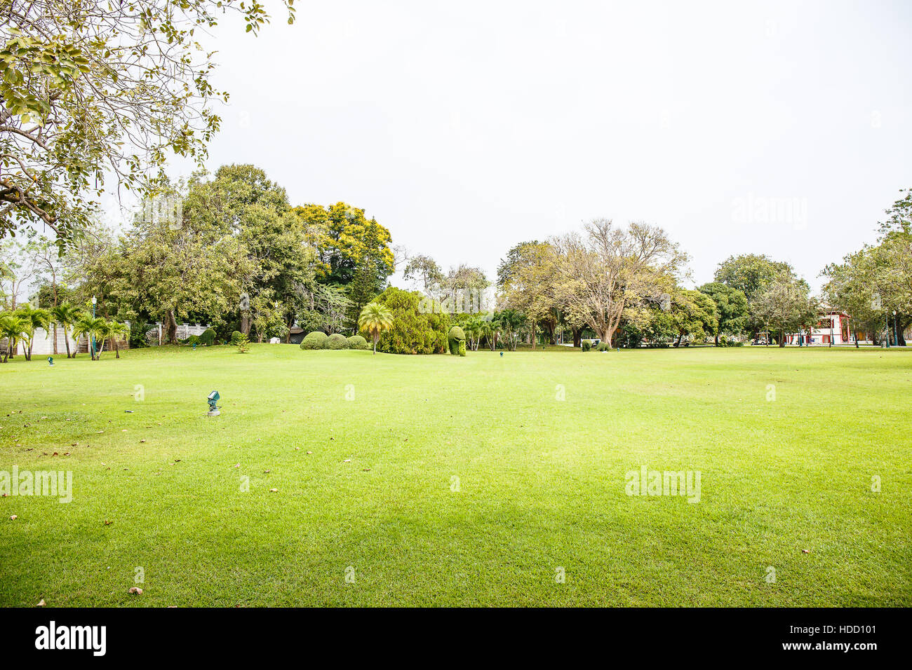Lawn with blue sky Stock Photo - Alamy