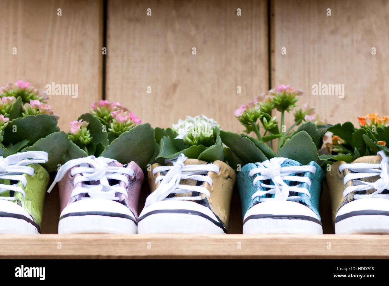 Decorative shoe flower pots hi-res stock photography and images - Alamy