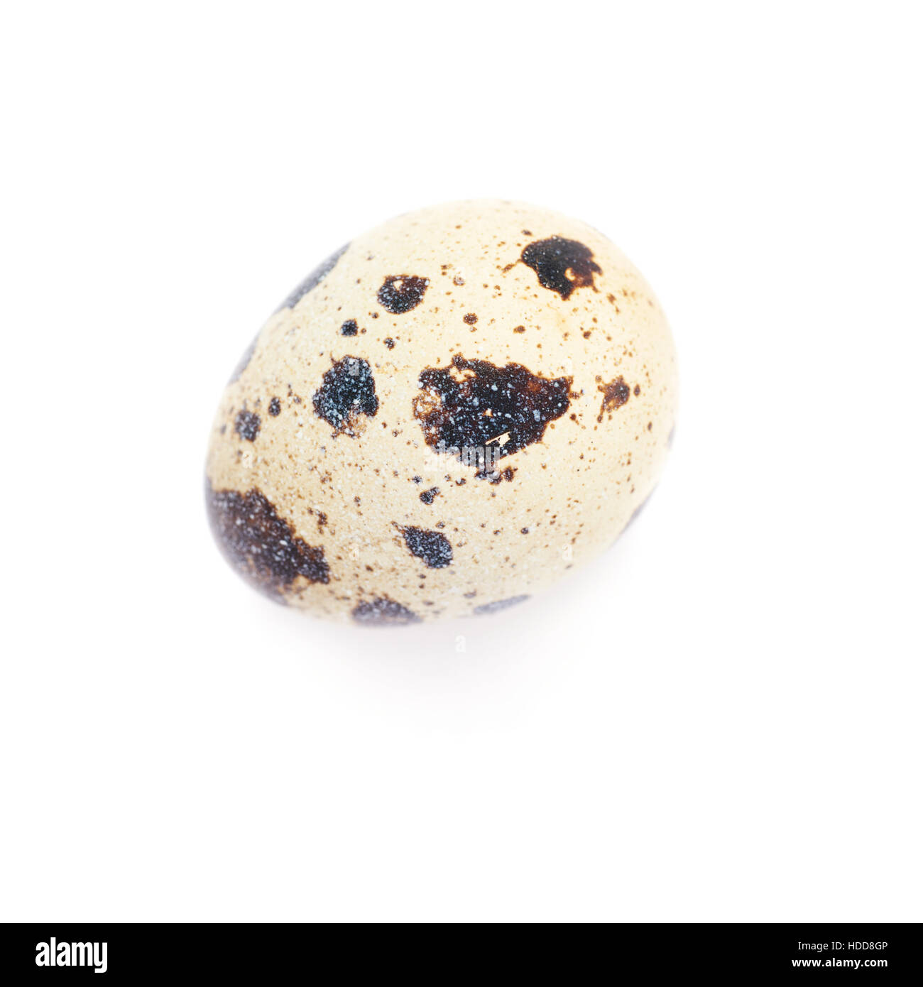 Single quail egg isolated over white background Stock Photo - Alamy