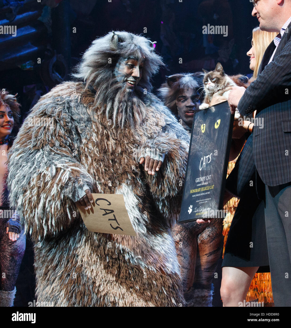 Grumpy Cat visits 'Cats' the musical Featuring: Grumpy Cat Where: New ...