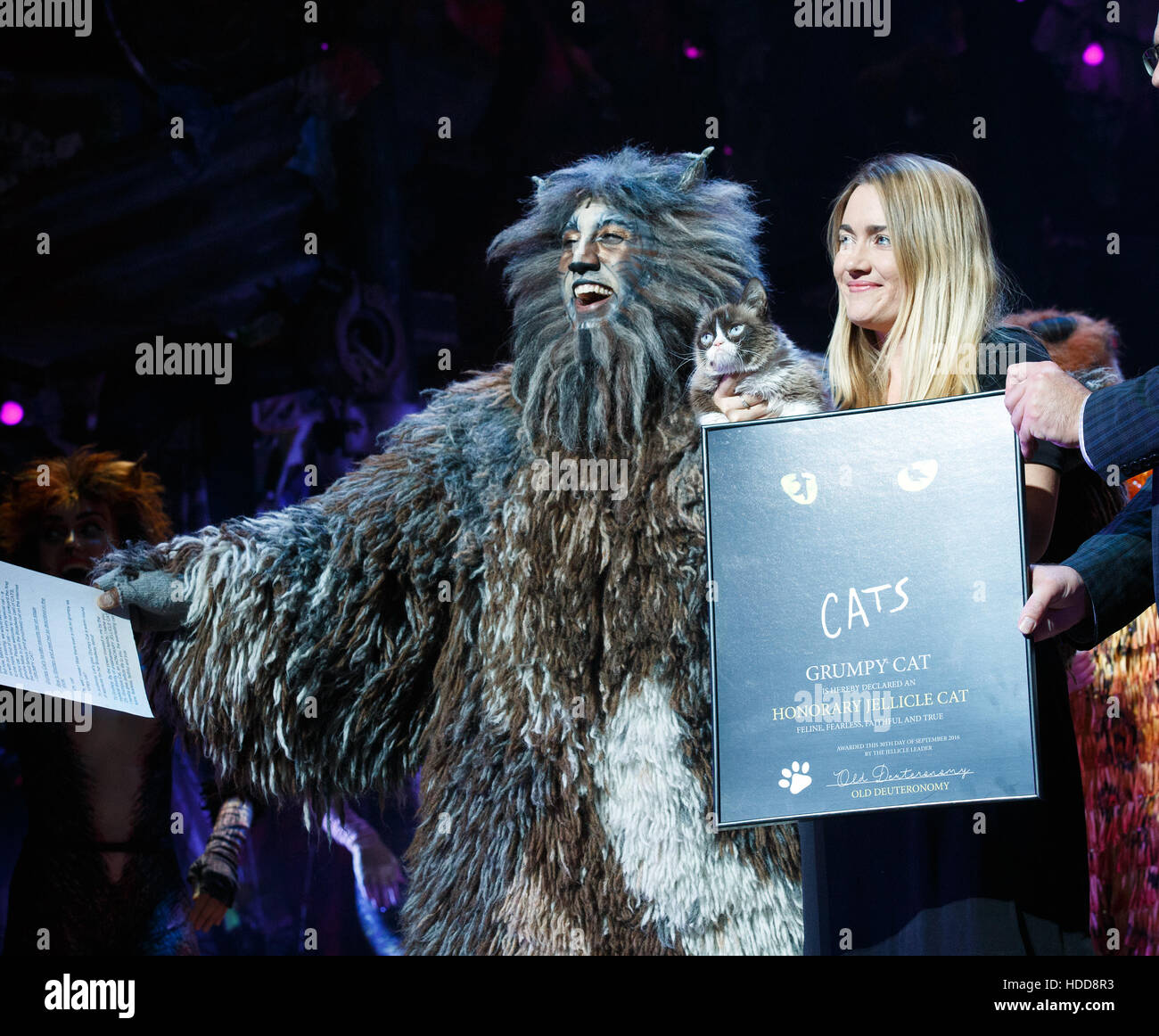 Grumpy Cat visits 'Cats' the musical Featuring: Grumpy Cat Where: New ...