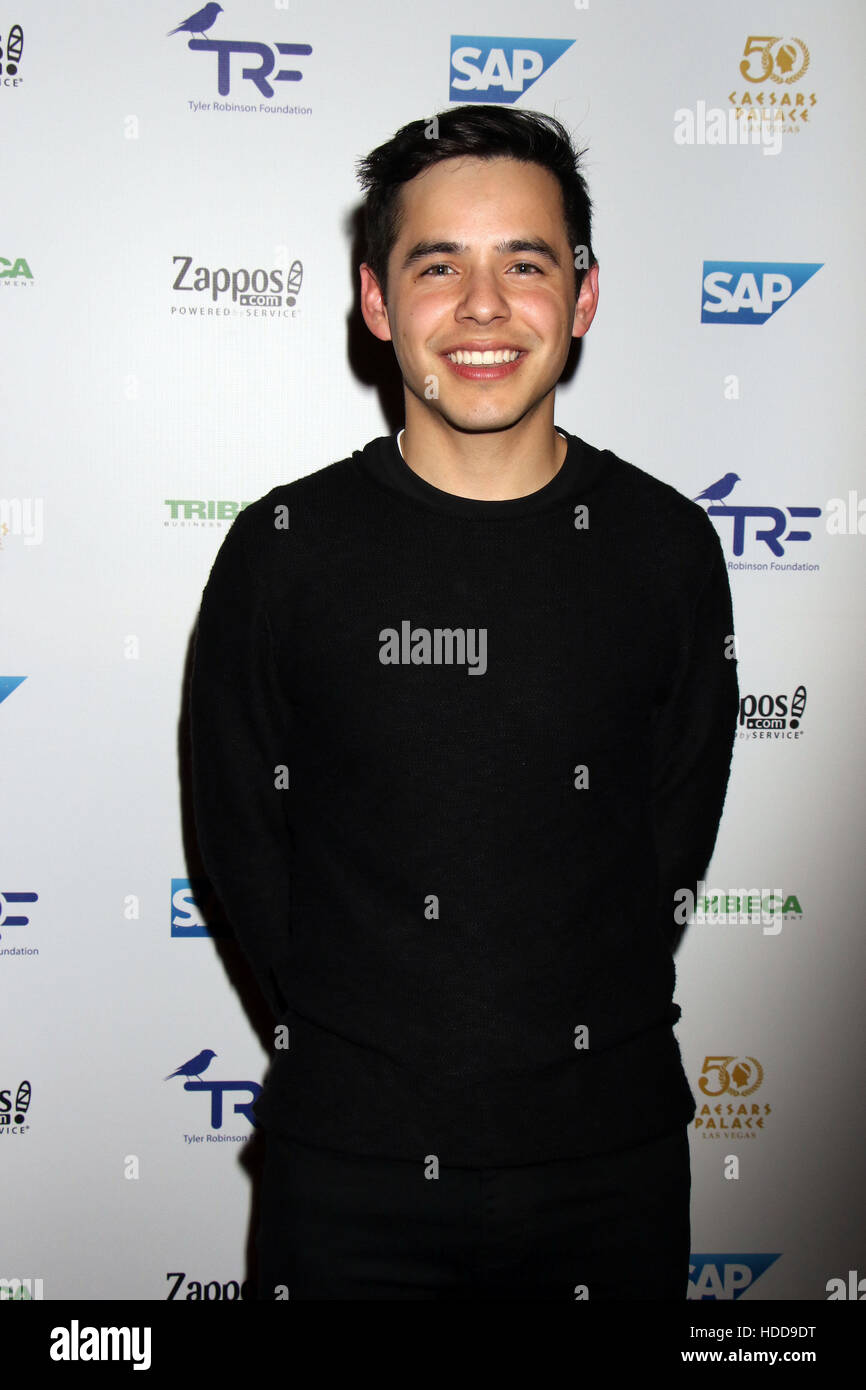 3rd Annual Tyler Robinson Foundation Gala - Arrivals Featuring: David ...