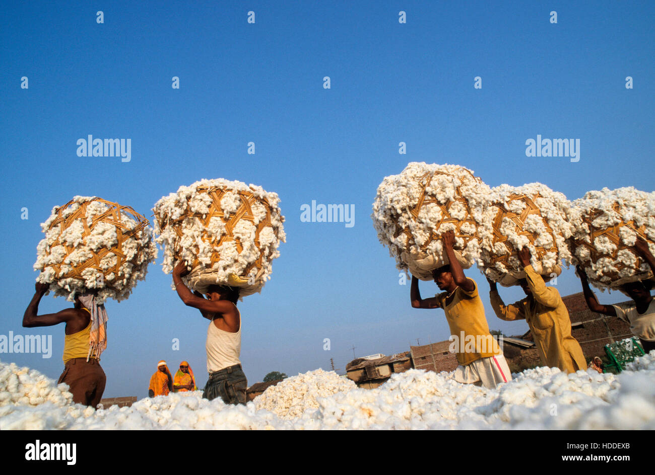 Ginnery hi-res stock photography and images - Alamy