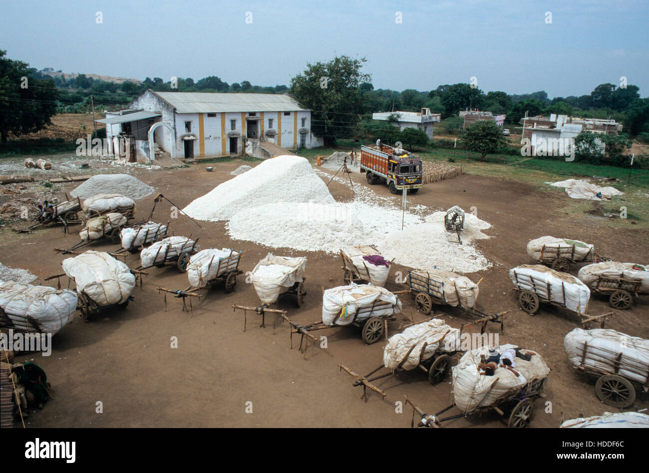 INDIA, Madhya Pradesh, Kasrawad, cotton ginning factory, farmer supply ...