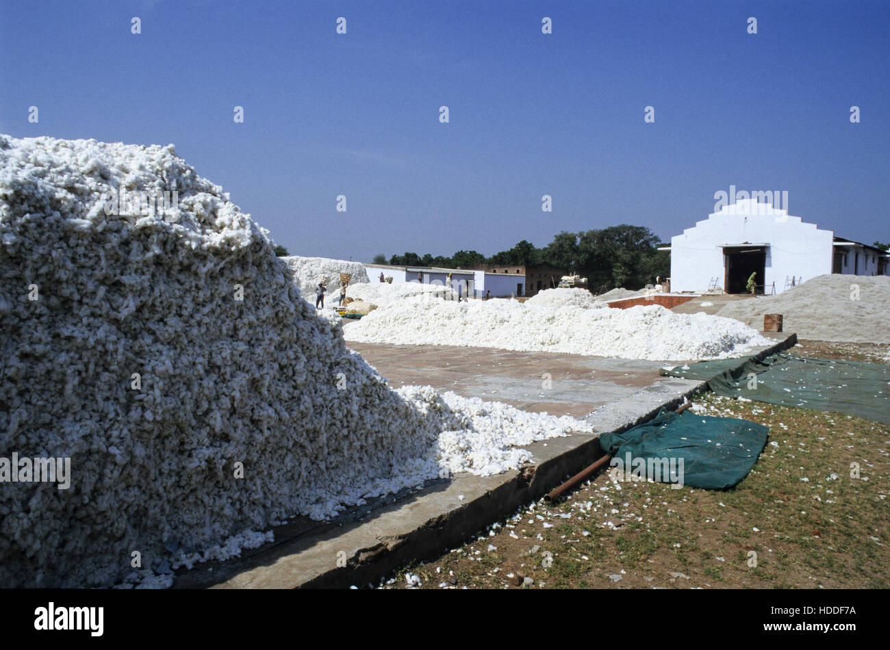 Ginning hi-res stock photography and images - Alamy