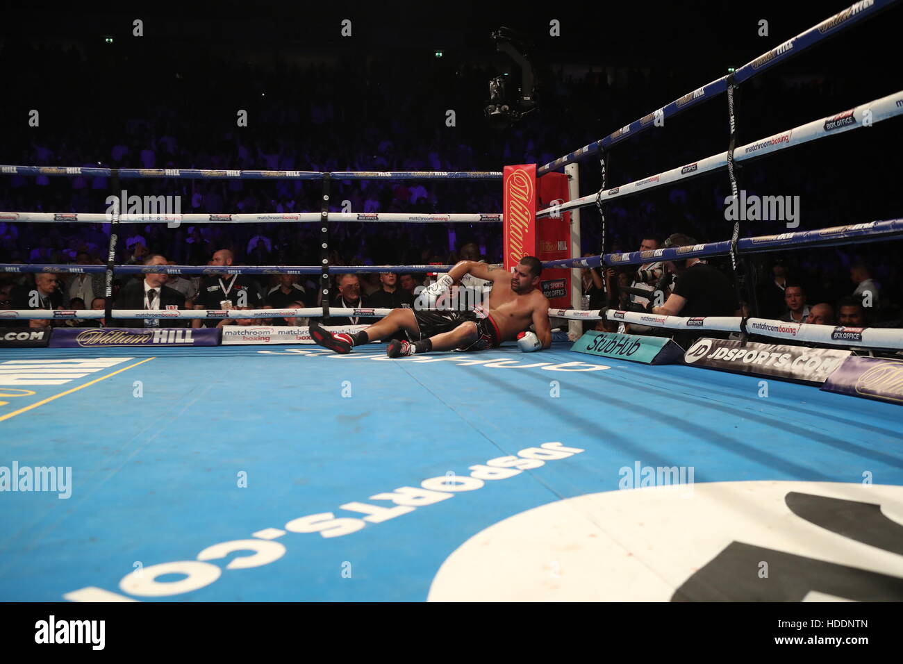 Eric Molina lies on the canvas during his IBF World Heavyweight ...