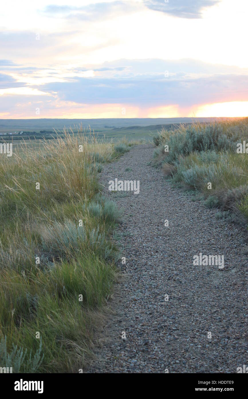 Pathway With Native Grasses High Resolution Stock Photography and ...