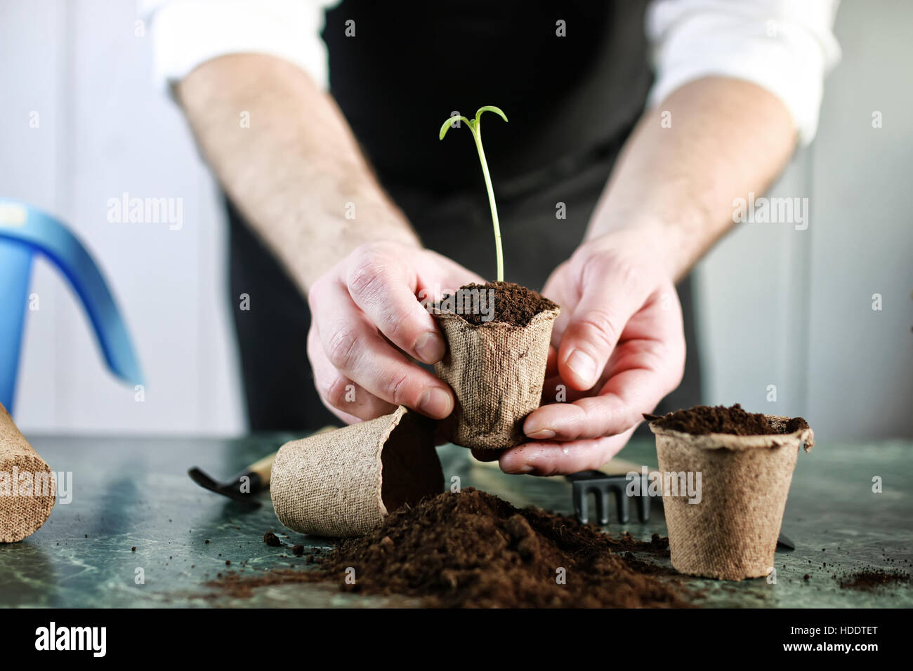 Prepended seedlings hi-res stock photography and images - Alamy