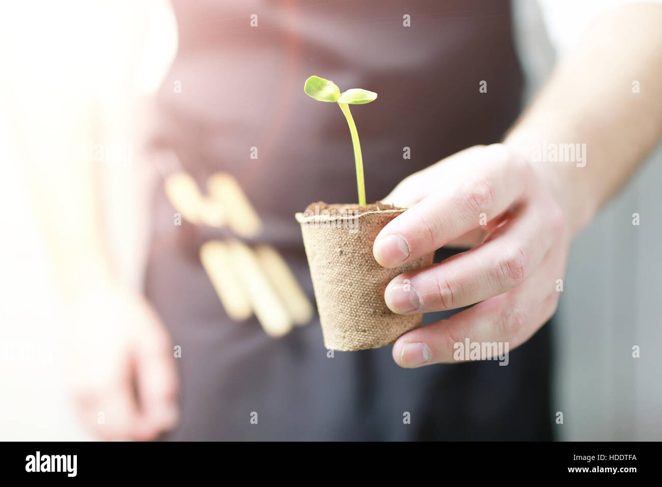 Prepended seedlings hi-res stock photography and images - Alamy