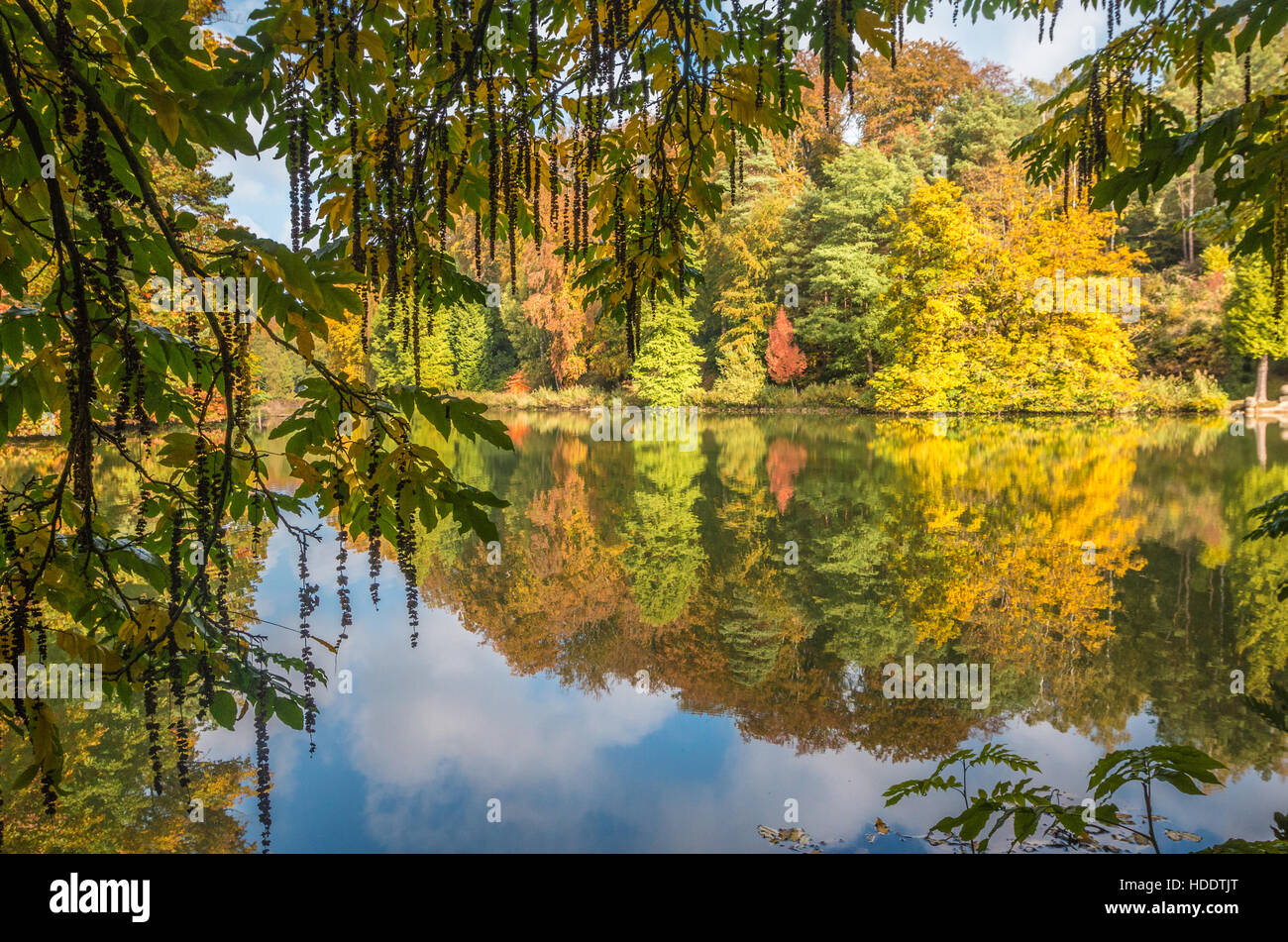 Autumn Colors in Belgium Stock Photo - Alamy