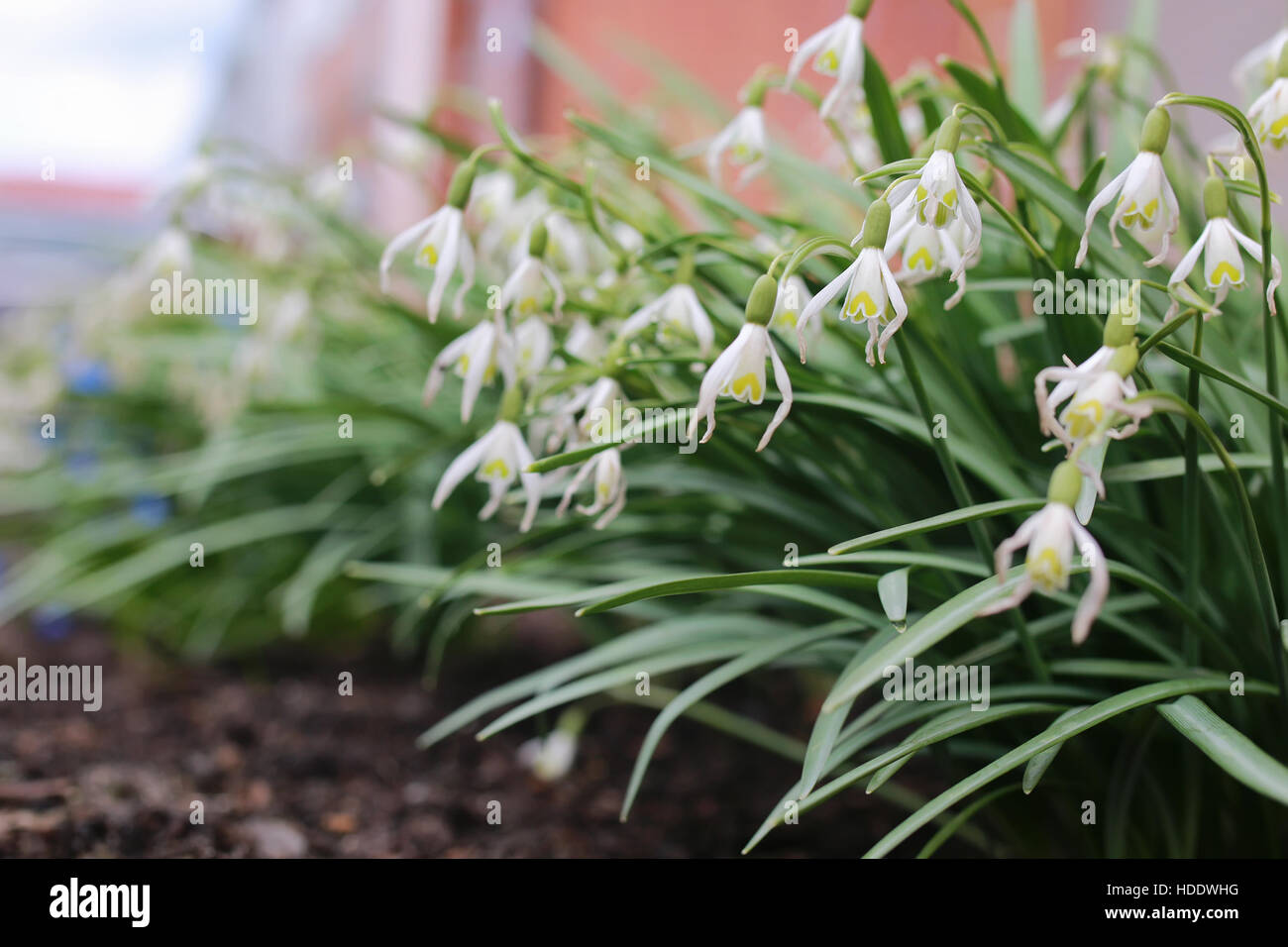 various objects of the spring season in the best of this wonderful ...