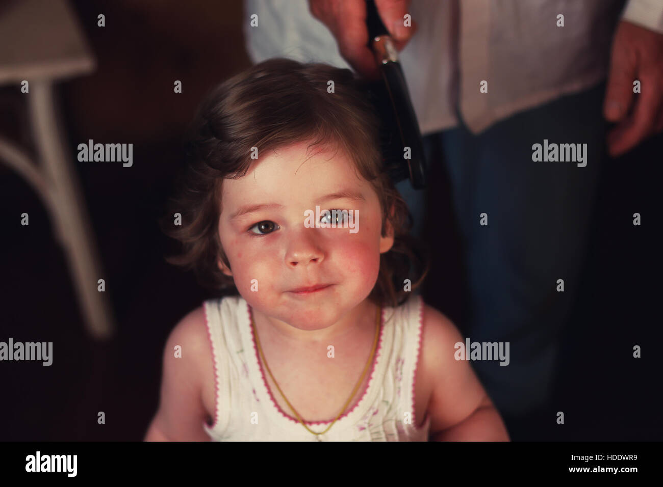 cute little kids on nature in summer on the site in a country house ...