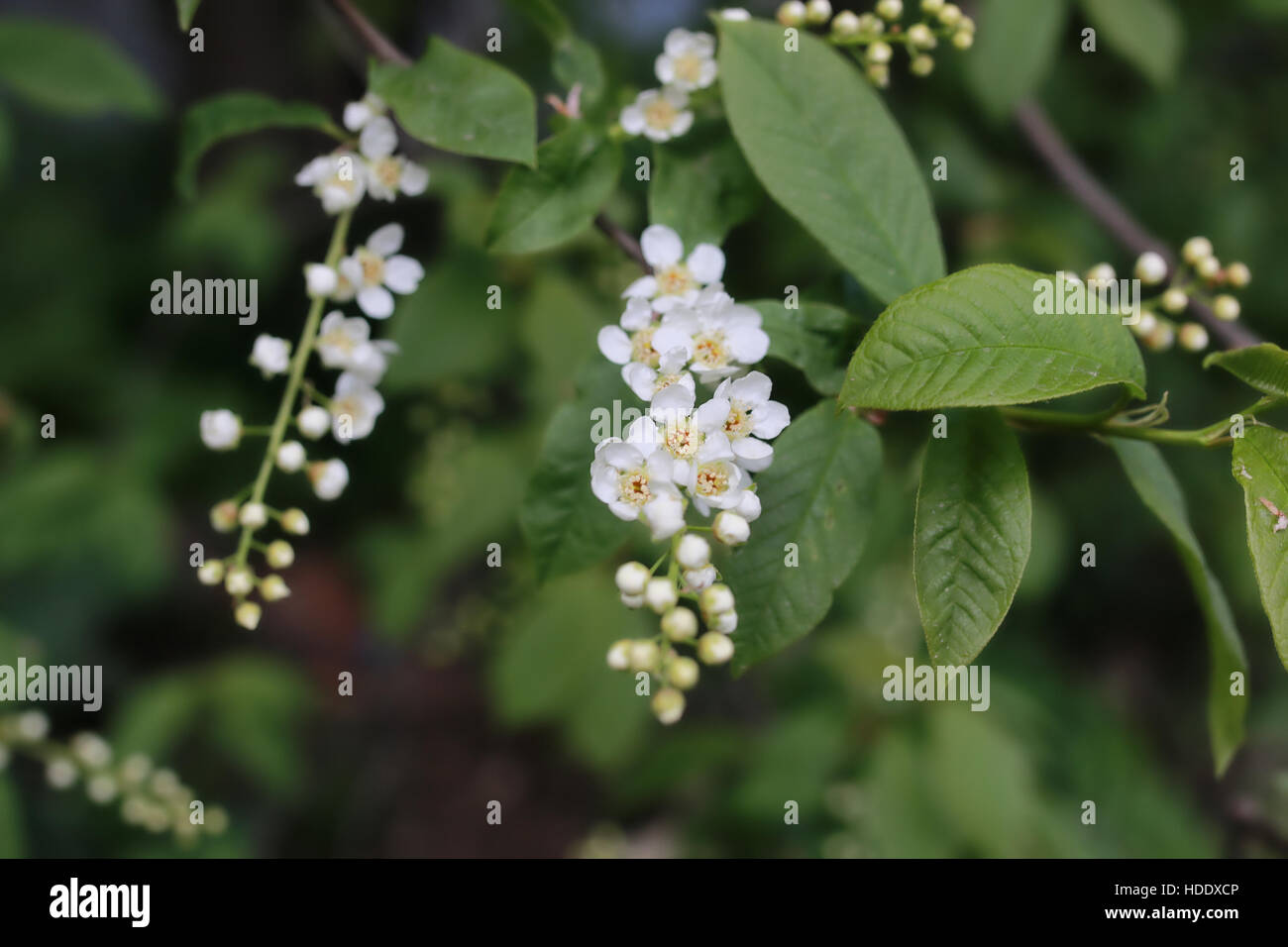 various objects of the spring season in the best of this wonderful ...