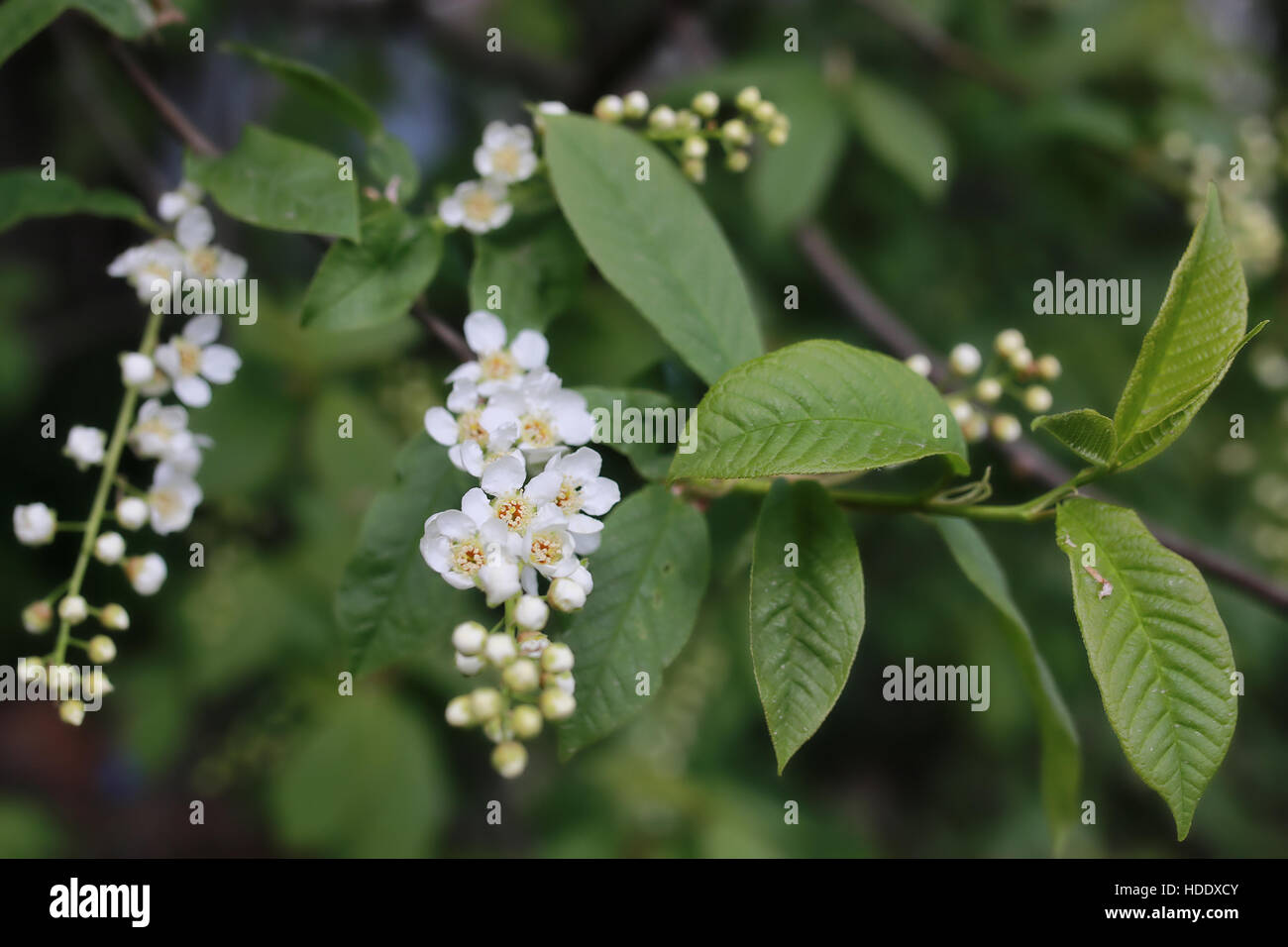 various objects of the spring season in the best of this wonderful ...