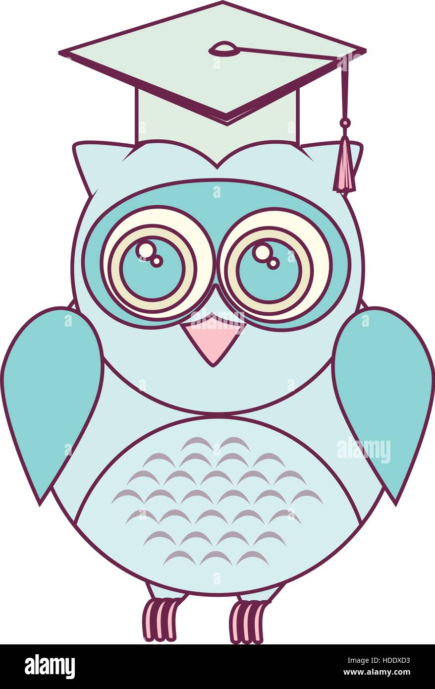owl with hat graduation vector illustration design Stock Vector Image ...