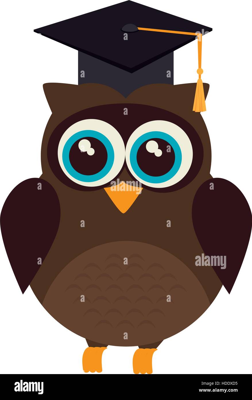 owl with hat graduation vector illustration design Stock Vector Image ...