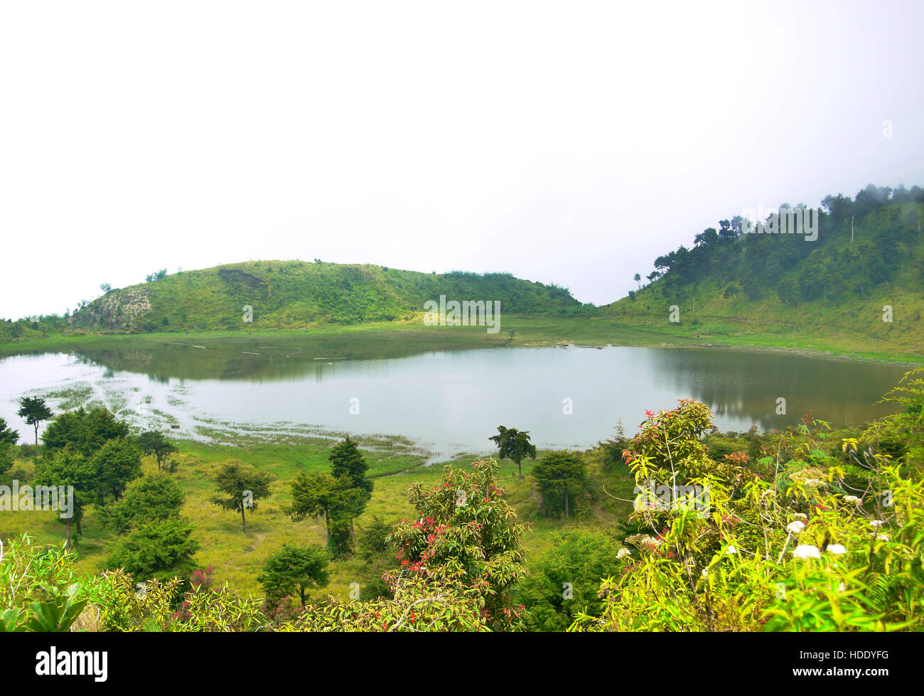 Dringo Lake. One of hidden lake on Dieng Plateau Stock Photo - Alamy