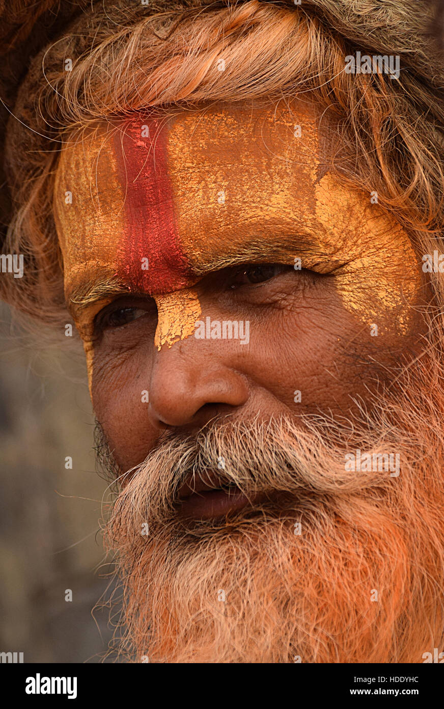 Nepal, Asia, Himalaya Stock Photo - Alamy