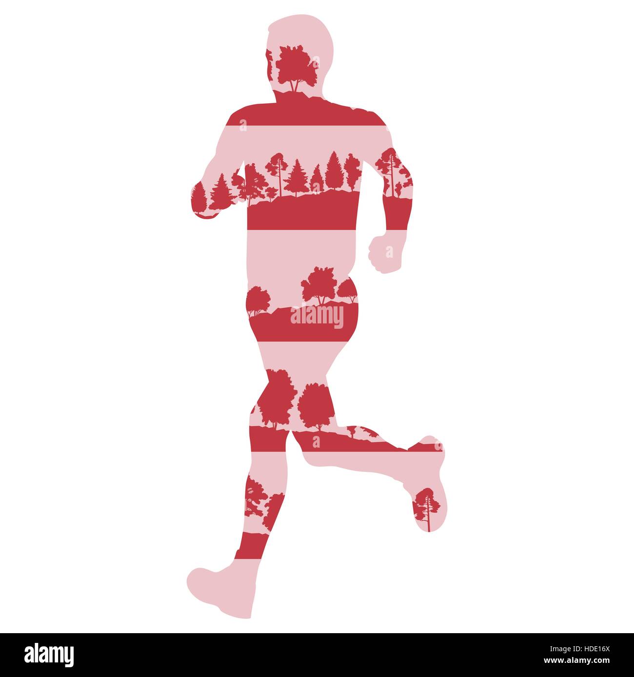 Abstract vector runner made with forest tree fragments isolated on ...