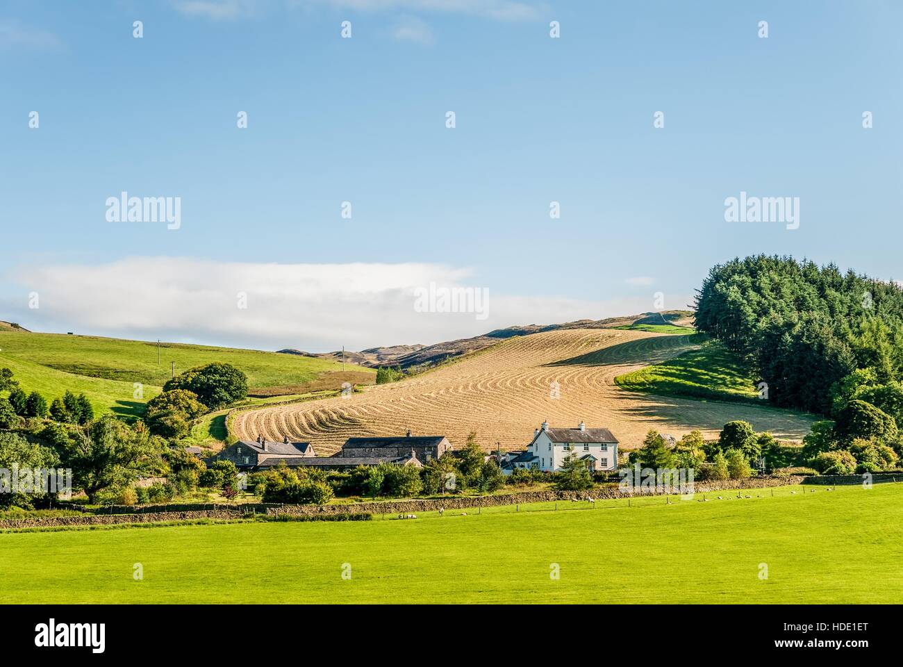 Yorkshire dales farm hi-res stock photography and images - Alamy