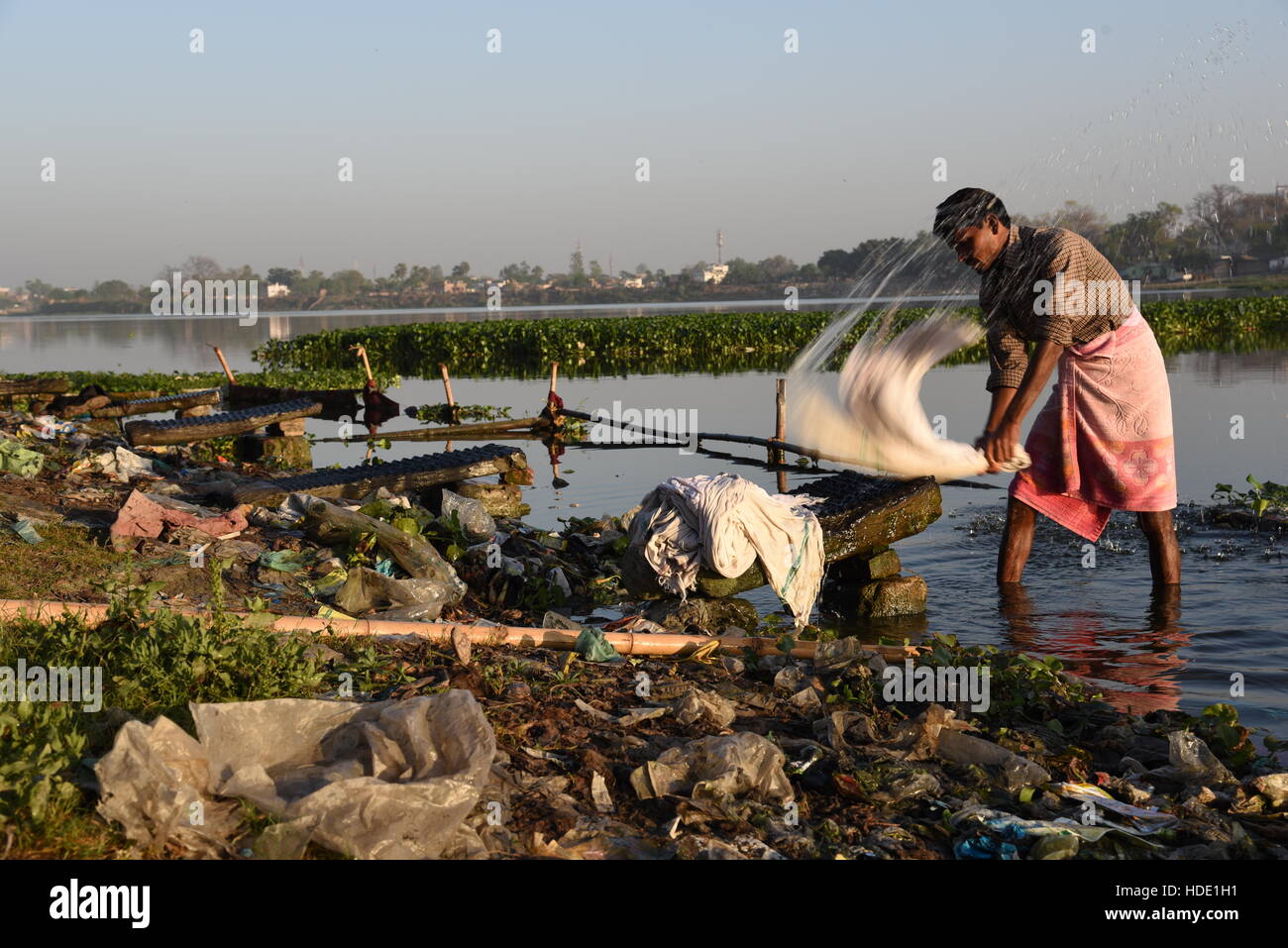 An Indian washerman of a local laundry washing clothes on the bank of a ...