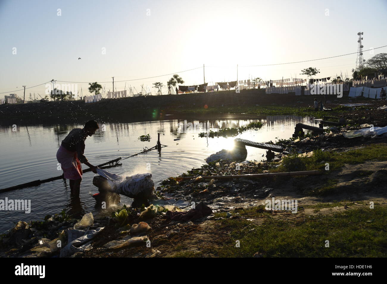 An Indian washerman of a local laundry washing clothes on the bank of a ...