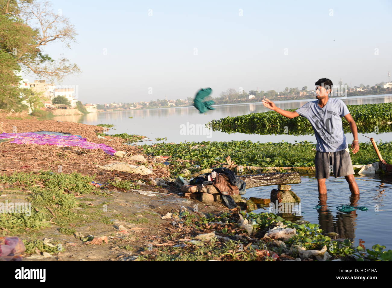 An Indian washerman of a local laundry washing clothes on the bank of a ...
