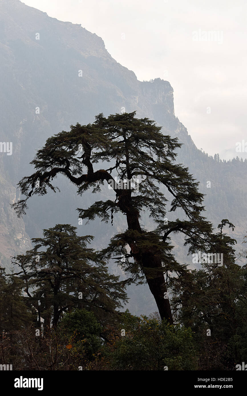 Nepal, Asia, Himalaya Stock Photo - Alamy
