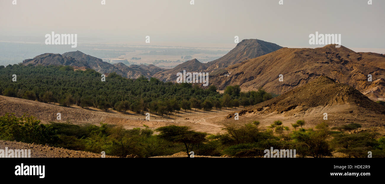 Sir bani yas island abu dhabi hi-res stock photography and images - Alamy