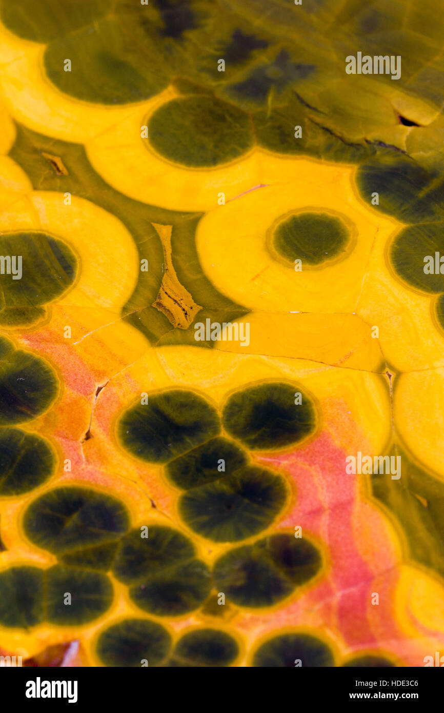 Orange and green orbicular jasper Stock Photo - Alamy