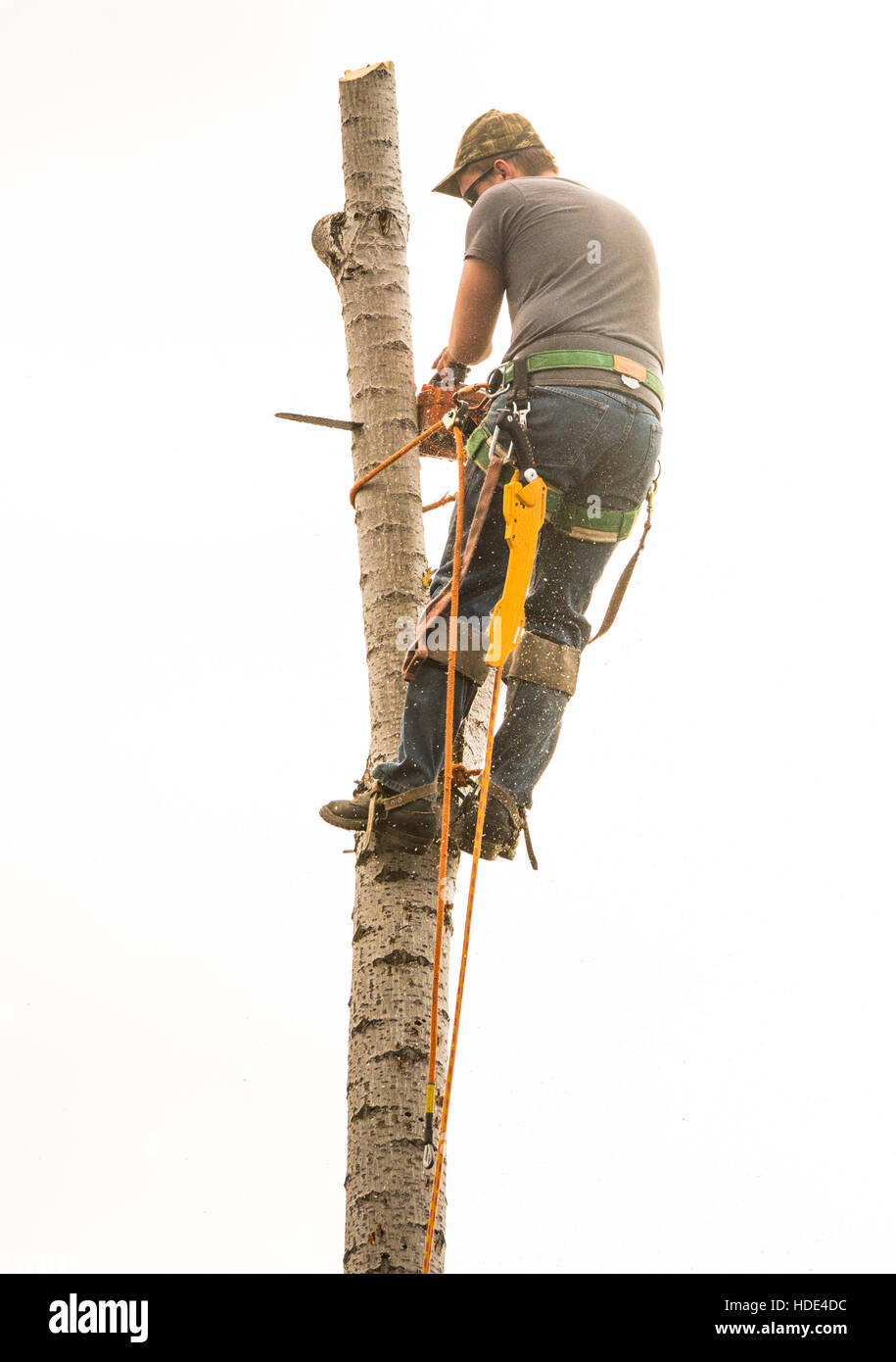 Usa chain hi-res stock photography and images - Alamy