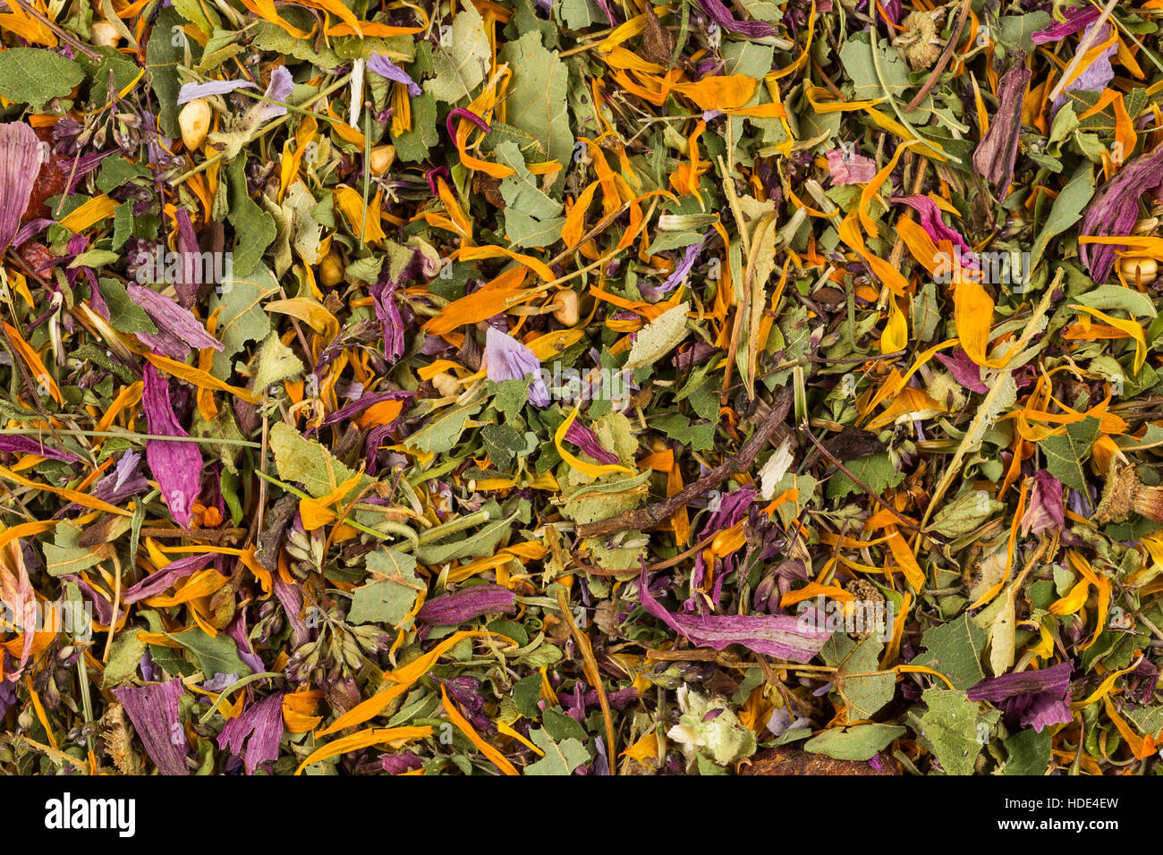 Dried herbal flower tea leaves close up as a background Stock Photo - Alamy