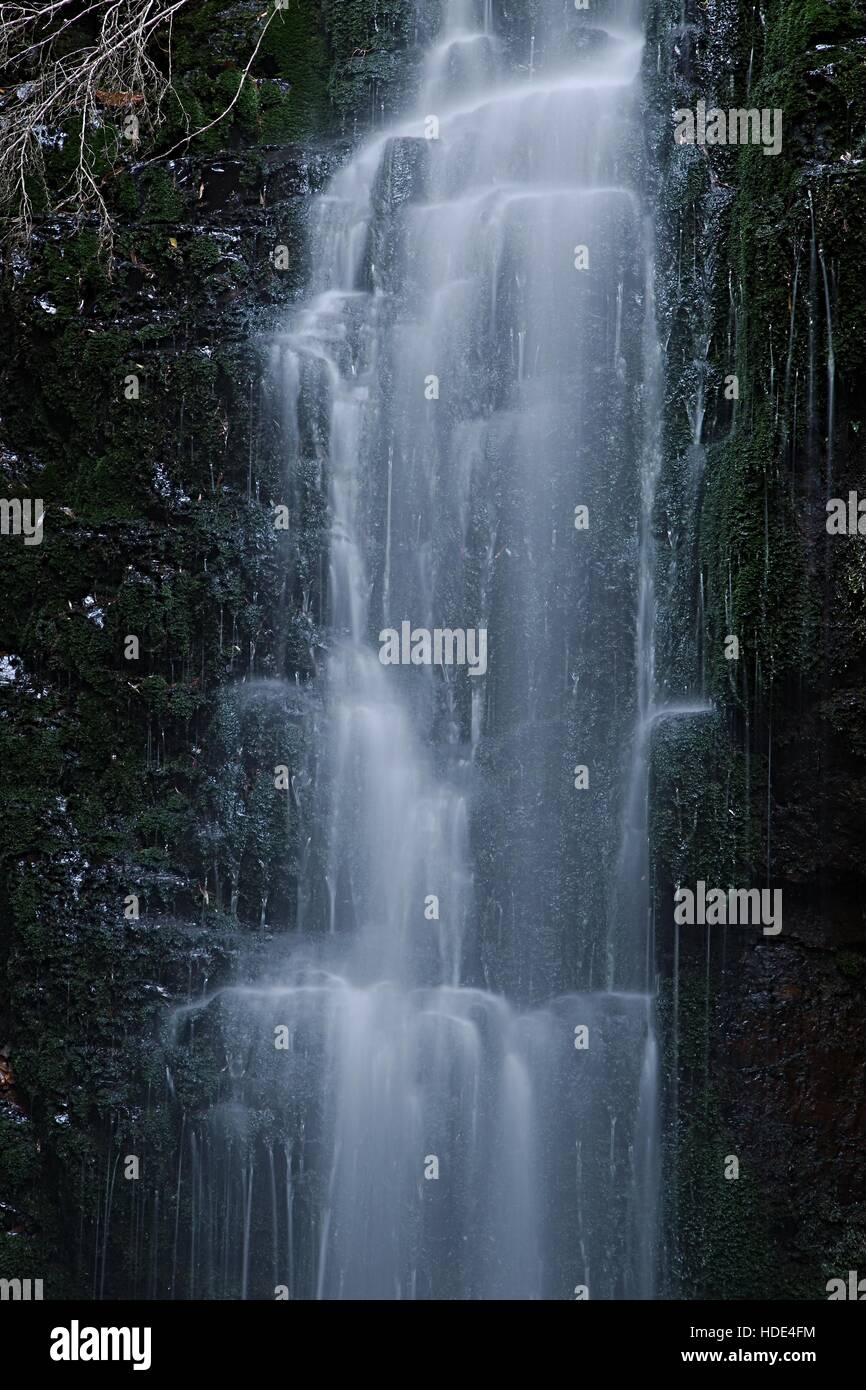 Waterfall in the forest Stock Photo - Alamy