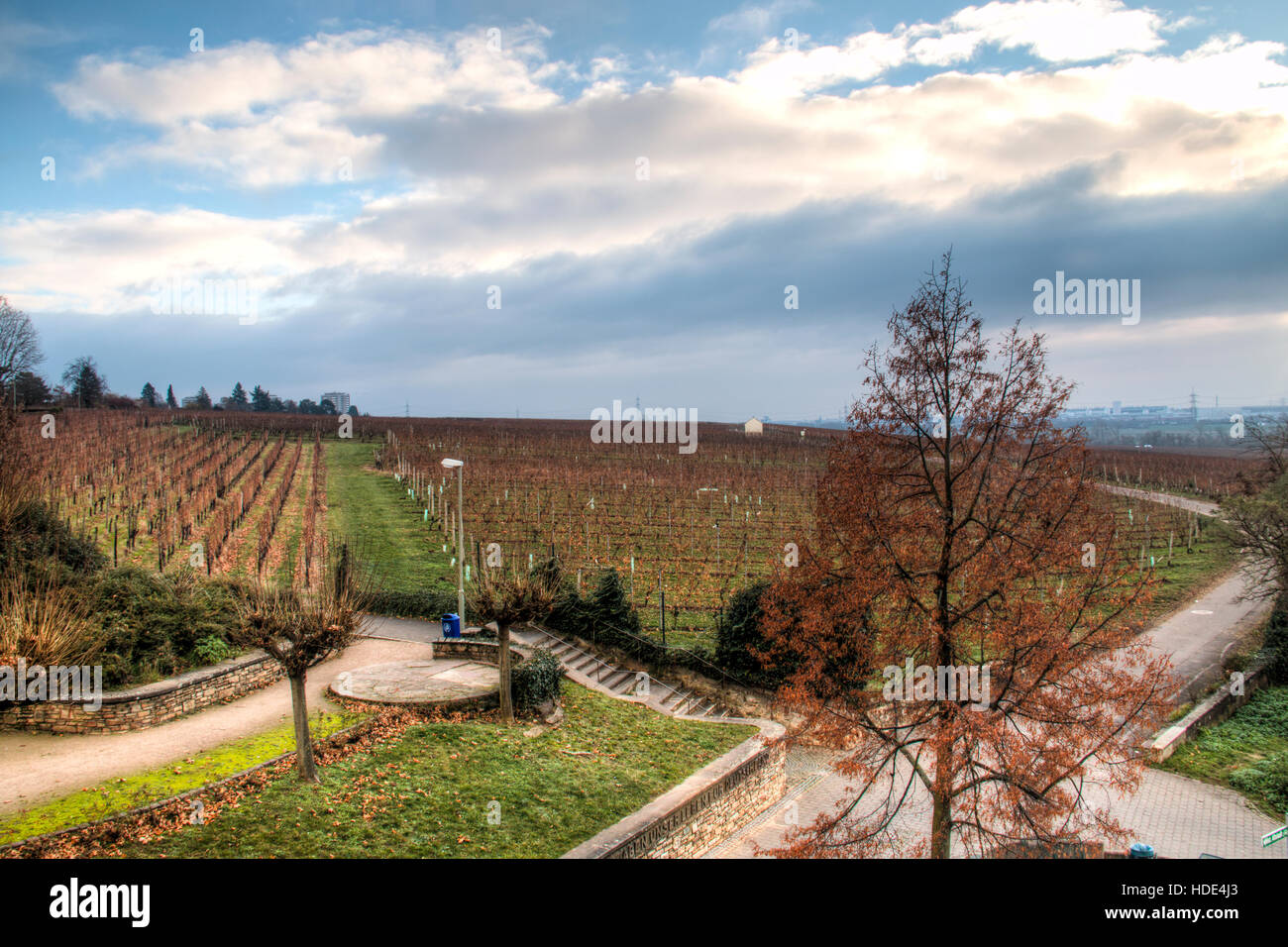 Hochheim village hi-res stock photography and images - Alamy