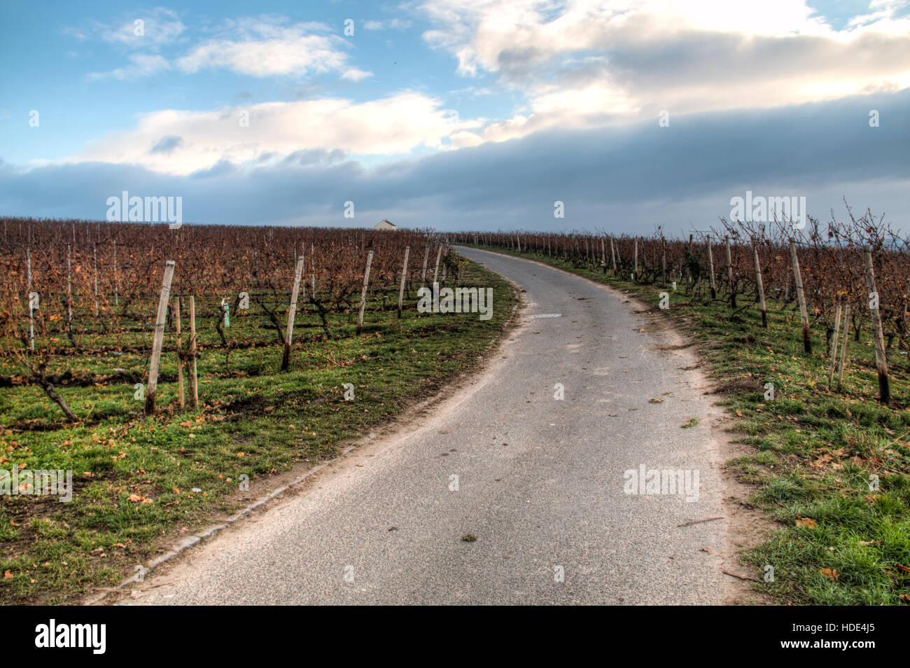 Hochheim village hi-res stock photography and images - Alamy
