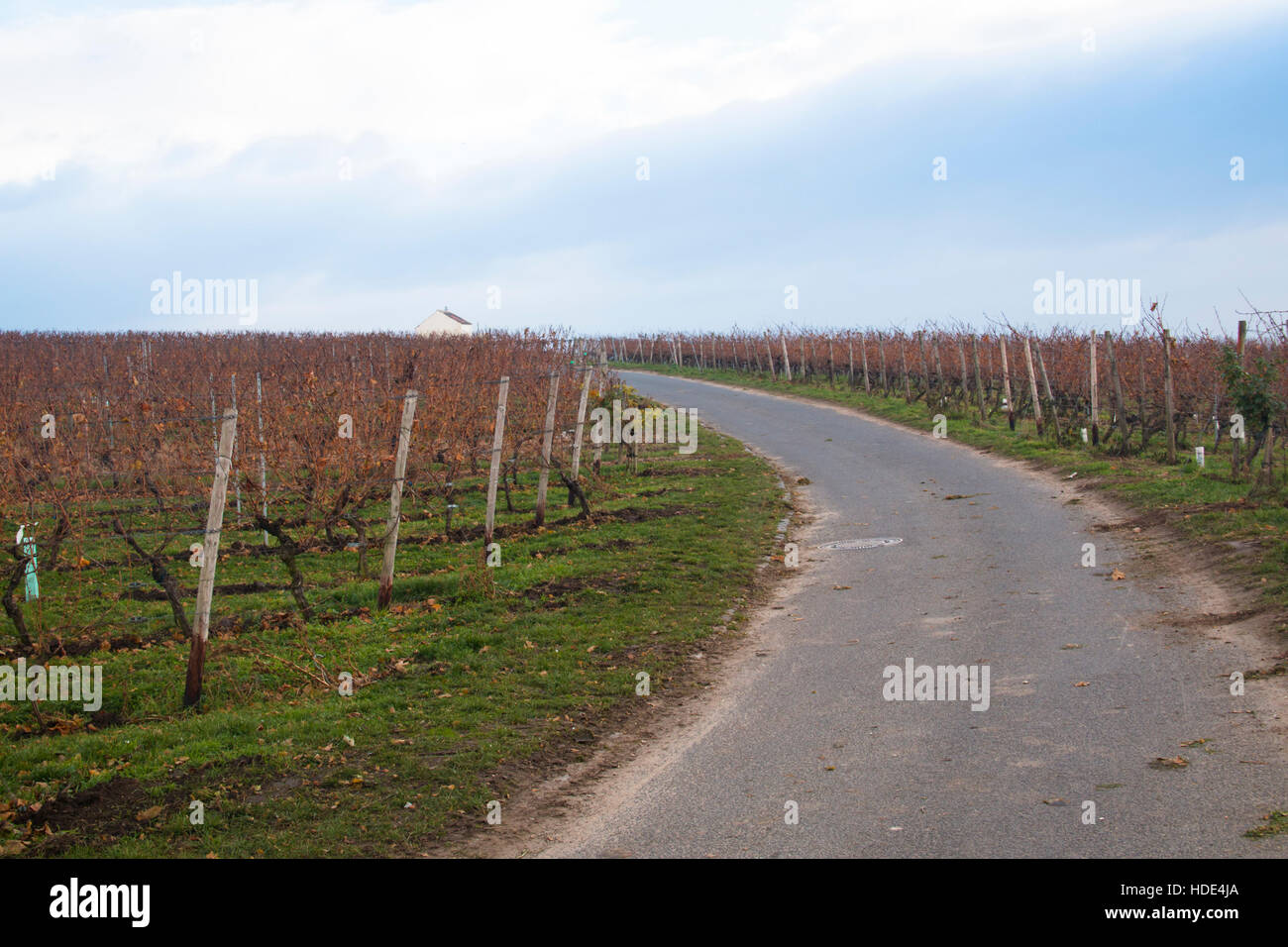 Hochheim village hi-res stock photography and images - Alamy